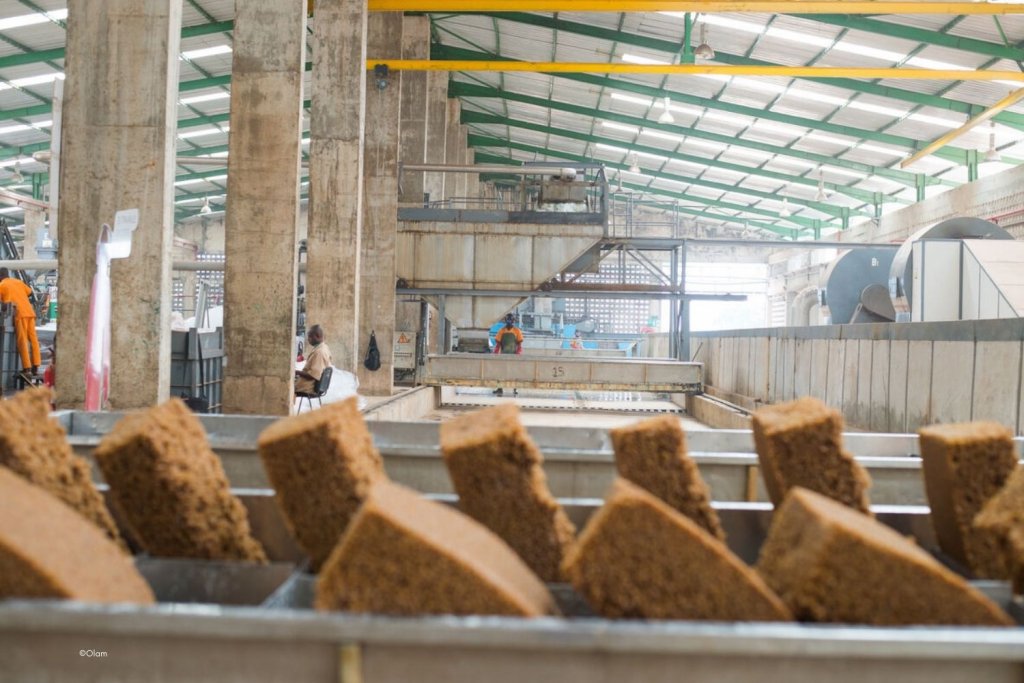 Forbes Afrique I Analyse I Olam I Agroalimentaire : Vers La Révolution ...