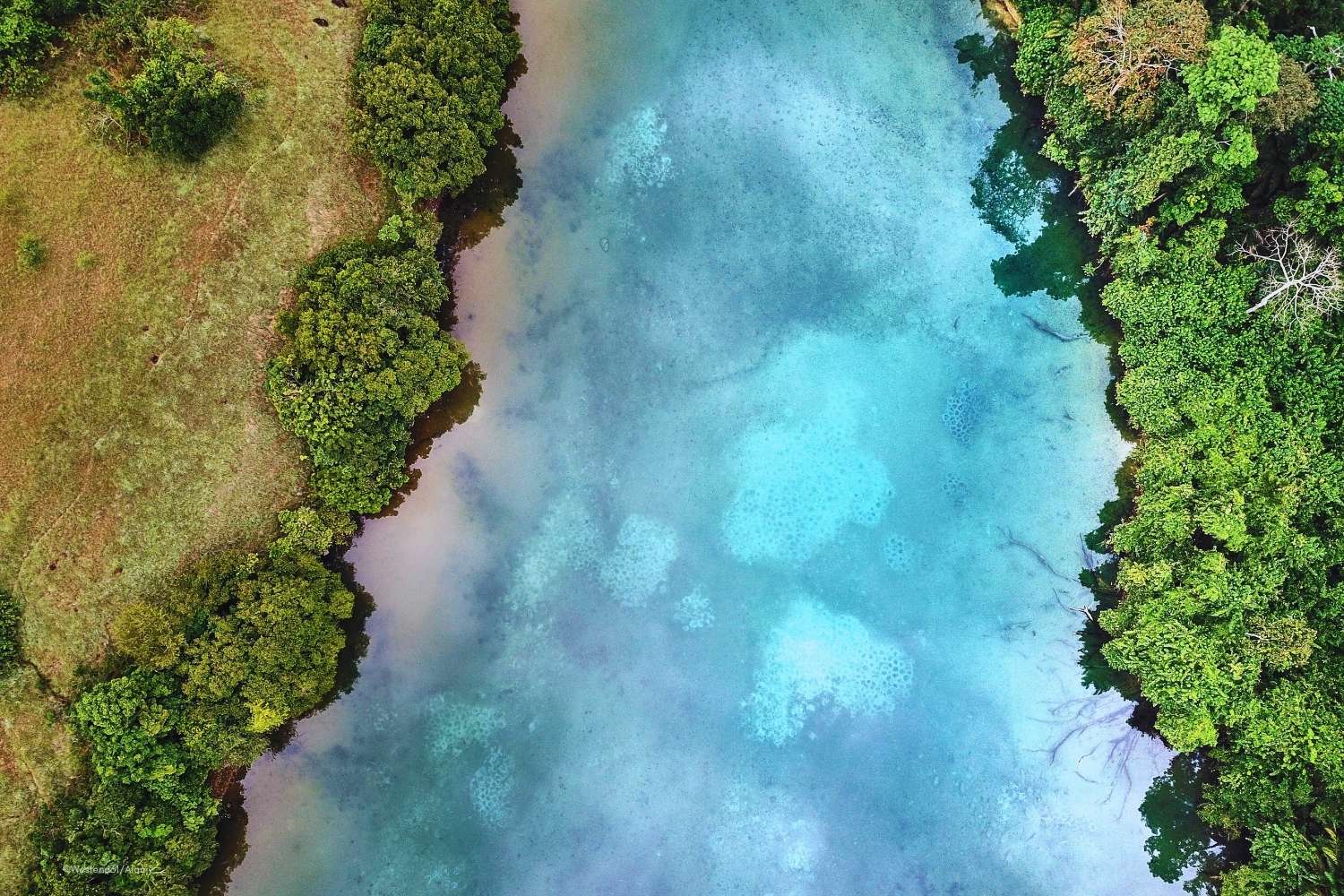 Forbes Afrique I Tourisme I Gabon, La Nature En Majesté